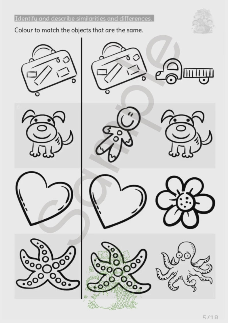 Level 1 -Visual Discrimination – In a Nutshell Education